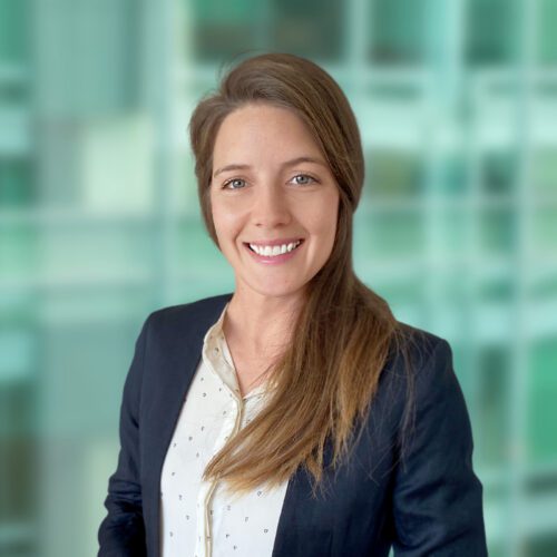 Labor mobility opportunities in IberoAmerica - Labor Mobility ...